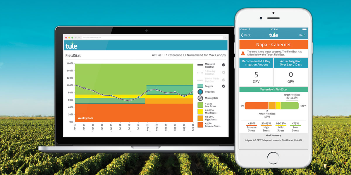 Tule - Frequently Asked Questions